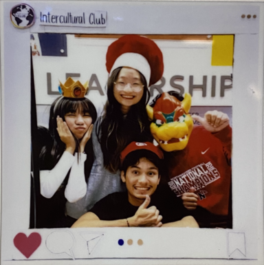 Mari Hirota Portfolio